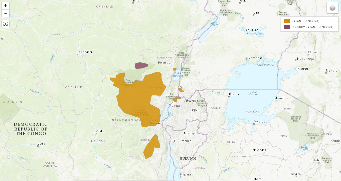 Basic Gorilla Facts ~ NatureTrack Expeditions